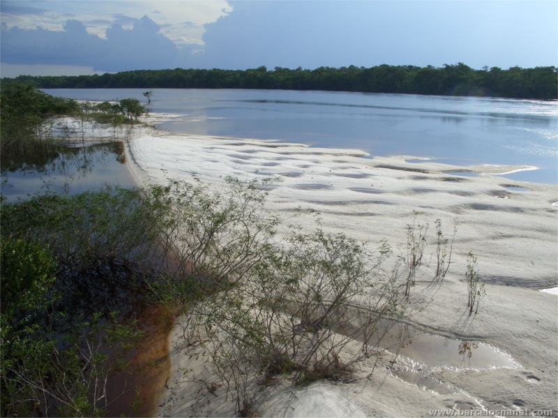 Fotos das praias de Barcelos, verdadeiro paraíso amazônico! - Blog do ...