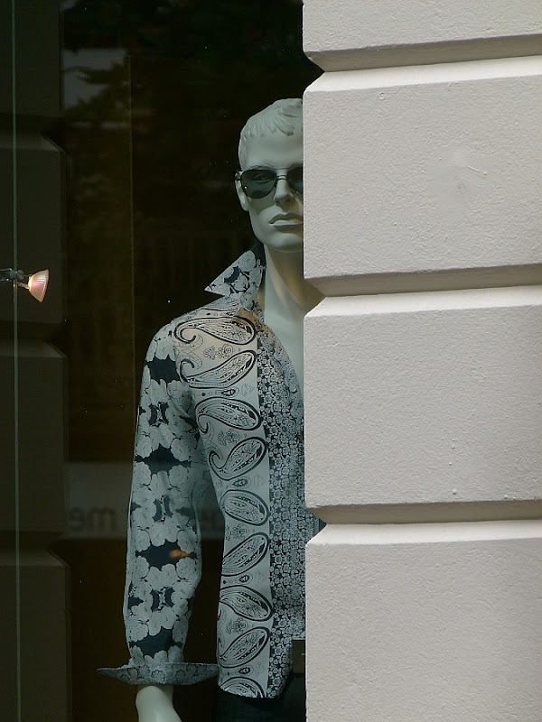 Silently watching - waiting.: Panasonic Compact Camera Talk Forum ...