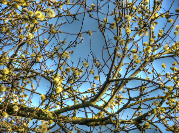 Keep Pushing Those Pedals: The Roman Road to Westley Bottom and back Part 1