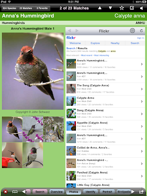 Birding Is Fun!: Review: iBird Pro HD for iPad by Jim Lyons