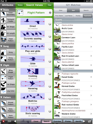 Birding Is Fun!: Review: iBird Pro HD for iPad by Jim Lyons