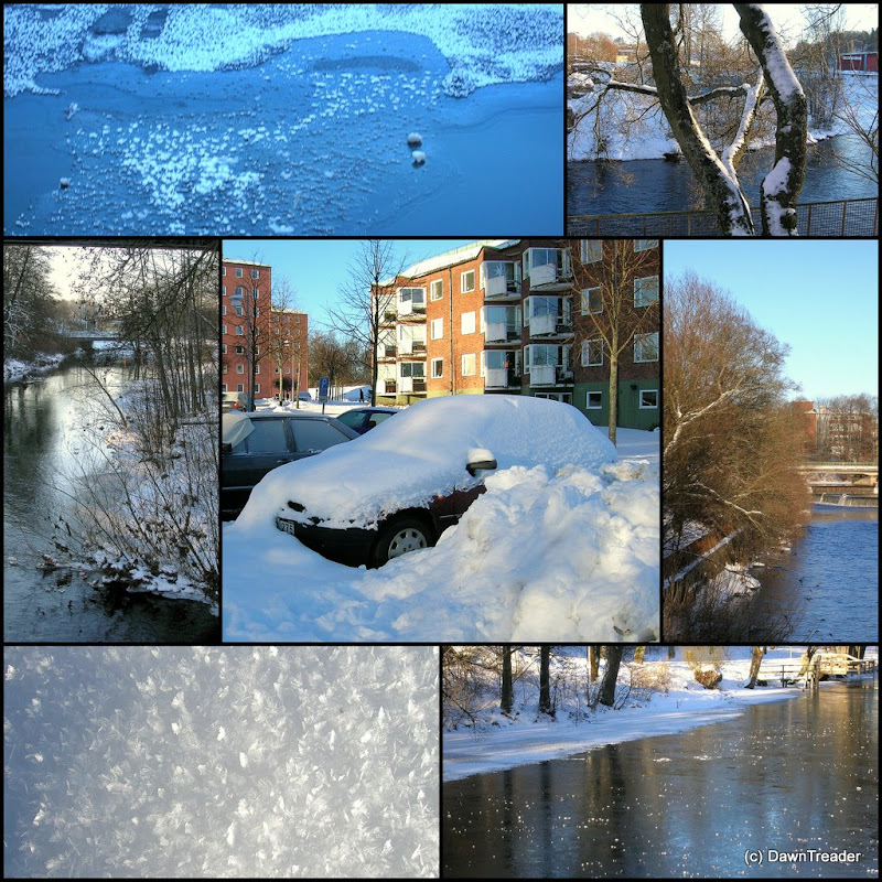 DawnTreader's Picture Book: Mosaic Monday: Cold Collage