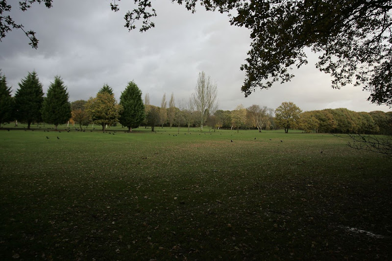 Wanstead Birder: Wanstead Park, part 1