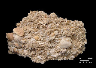 "MENOREH": batuan clastic limestone