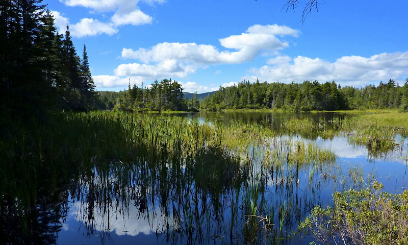 Black Mountain: the One near Benton, NH (24-Aug-2010) | New England ...