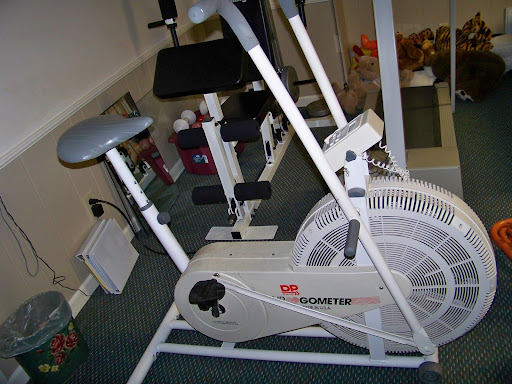 Airgometer dual purpose stair stepper | ~dp airgometer silent rider ...