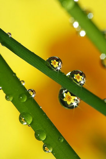 30 Breathtaking Examples Of Drops Photography