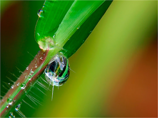 30 Breathtaking Examples Of Drops Photography