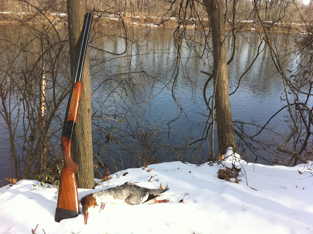 First duck hunt today | Duck Hunting Forum