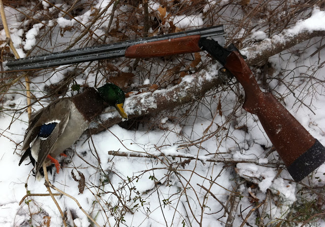First duck hunt today | Duck Hunting Forum