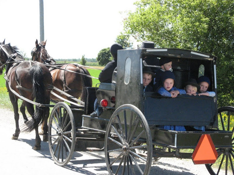 101104 Leven in het land van de Amish - www.oldebroek.net