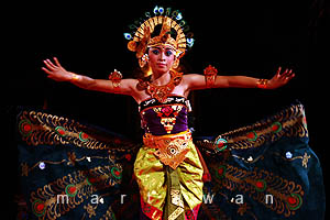 Potret Bali: Tari Merak Angelo