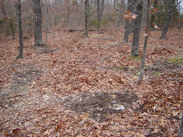 Question About Deer Scrapes | Archery Talk Forum