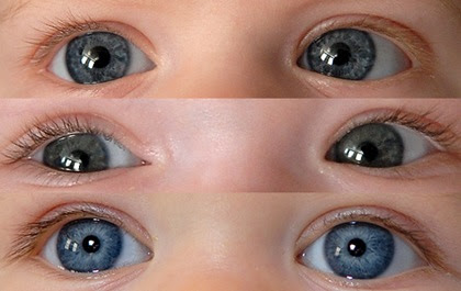 Billy's Captures: Newborn Eyes