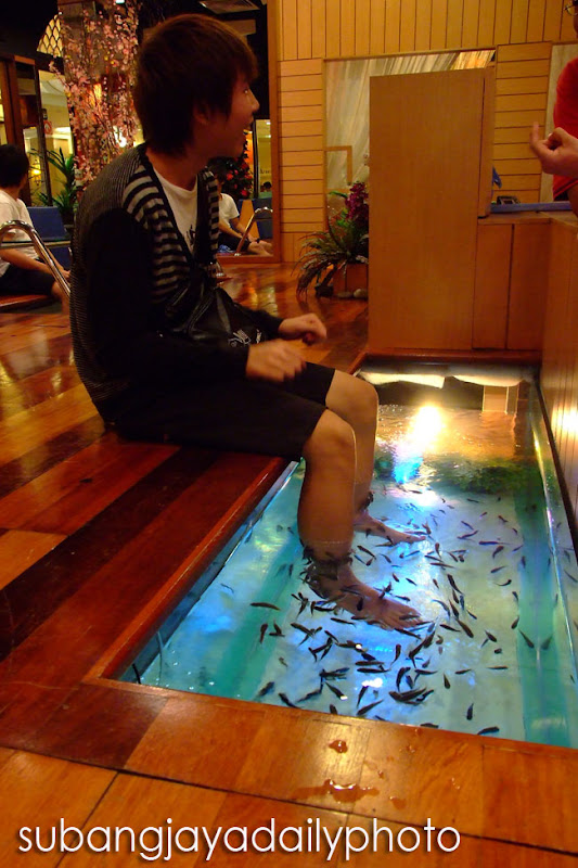 Subang Jaya Daily Photo: Fish Spa - Revisited