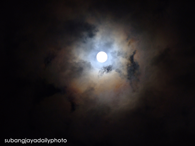 Subang Jaya Daily Photo: 01/02/2009 - 01/03/2009