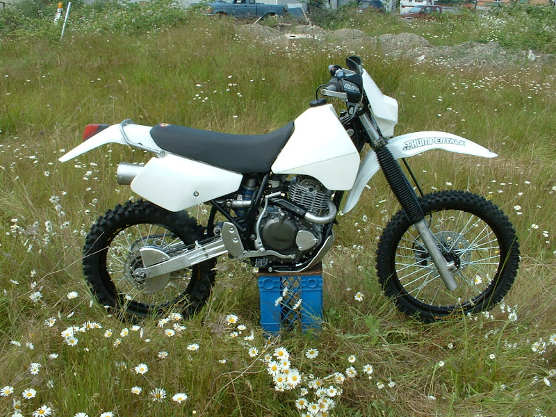 DR350 Thread | Page 1838 | Adventure Rider