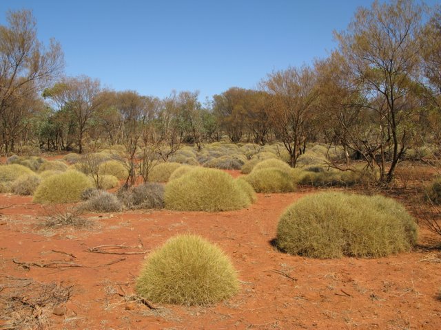 Reminder of a Good Day: Goodbye to the Red Centre