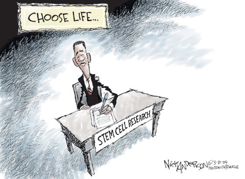 The Frustrated Teacher: Tuesday Cartoon Fun: Stem Cell Edition