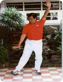 Senam Tera Indonesia