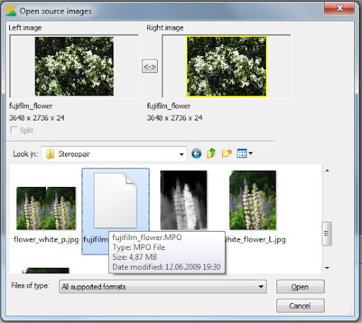 New version Triaxes 3DMasterKit 4.5 and StereoTracer 4.5: Fuji 3D .MPO ...
