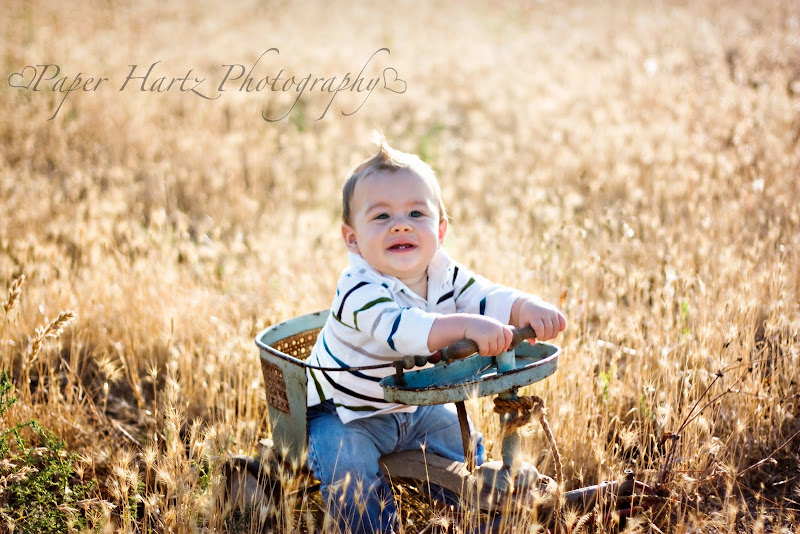 Paper Hartz Photography: Mason Gunner 8 Months