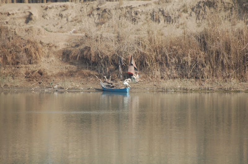 Karbala Nature - from the river to the desert | SkyscraperCity Forum