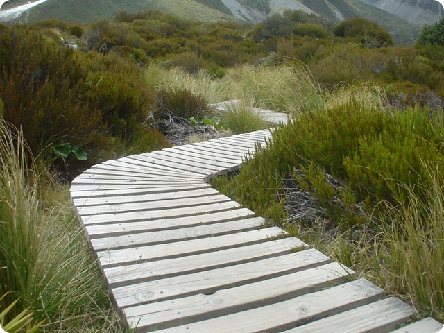 truth for this day - Daniele Evans