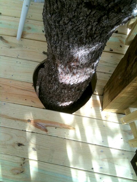 Every Kid’s Dream Tree House – How to Build It