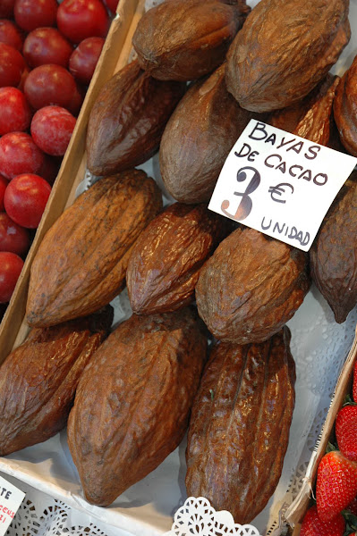 Cocoa | Project Noah