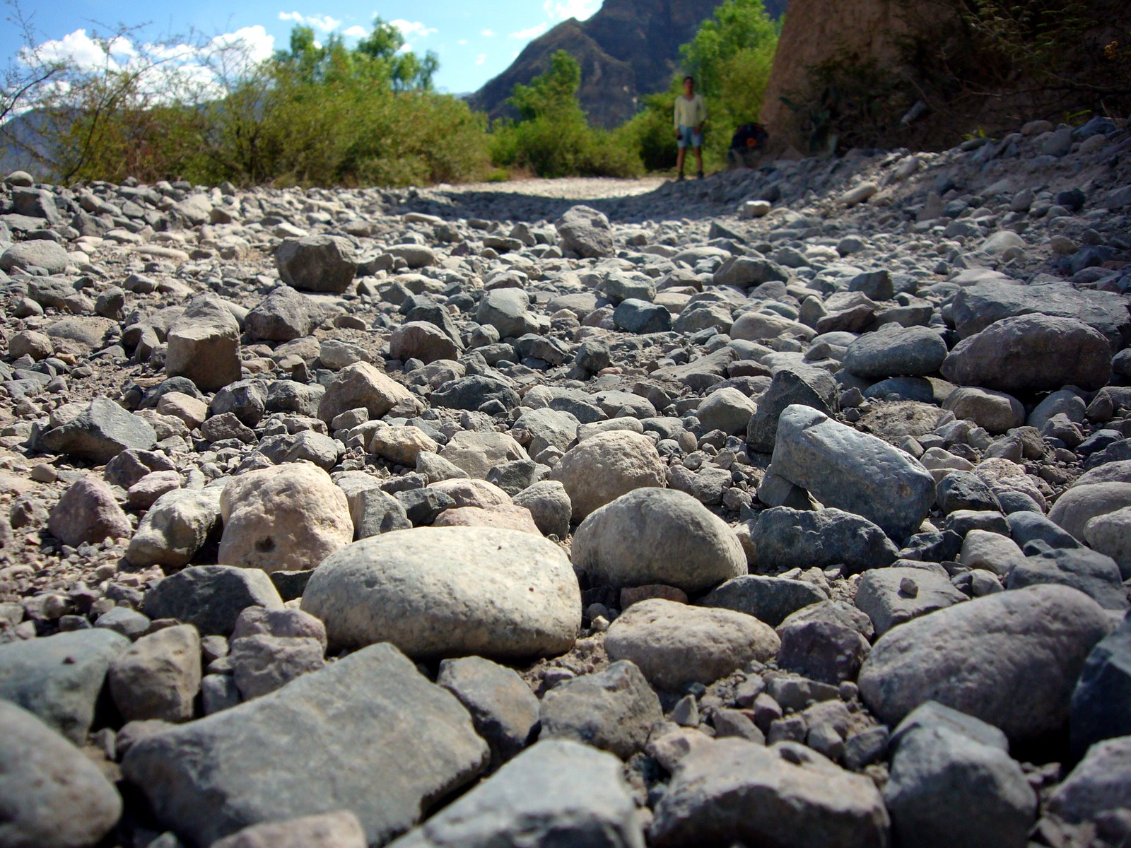 Walking with Llamas: A long bumpy journey