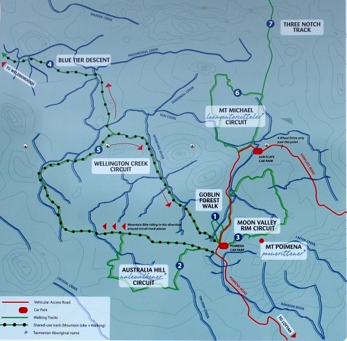 The Blue Tiers: Tasmania’s Northeastern treasure | Tasmanian plants