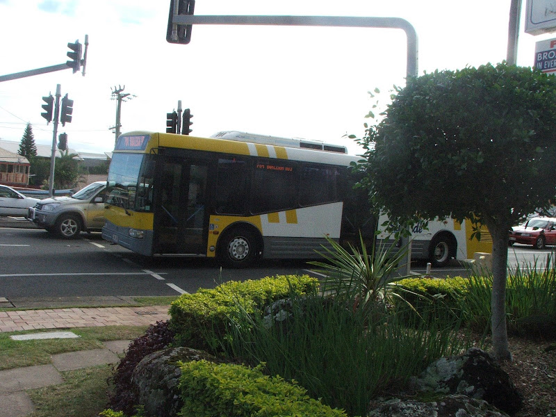 Surfside Buses @ Burleigh