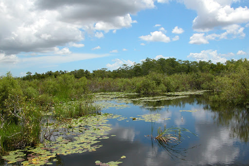 'Producers everglades || port everglades fan boat' >> 'everglades ...