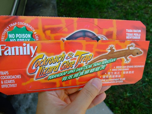 how to repel lizards?