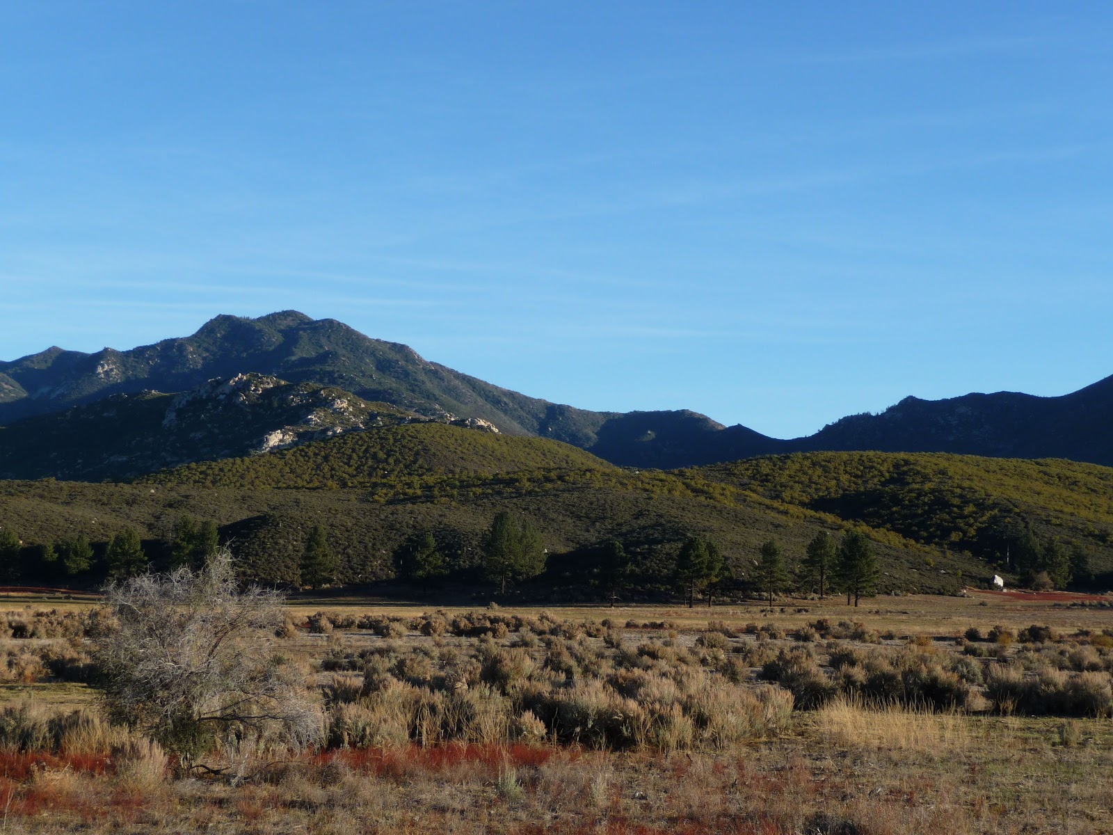 The Musings of a Zen Monkey: Pathfinder Ranch to Idyllwild on the road