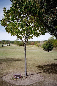 LESLIE ERIN MAHAFFY - CMM-Crime, Mystery & Mayhem