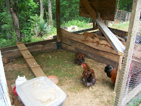 Dawn On The Farms Breeding Pens | BackYard Chickens - Learn How to ...