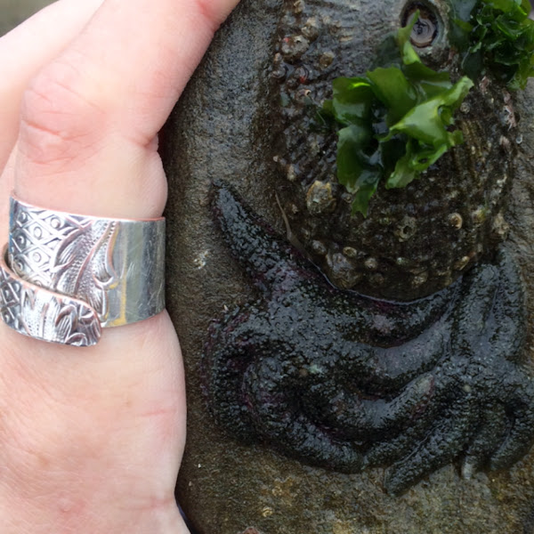 Six Ray Star | Project Noah