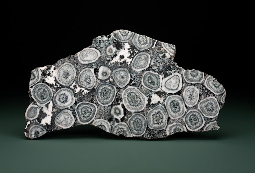Orbicular Diorite — Google Arts & Culture