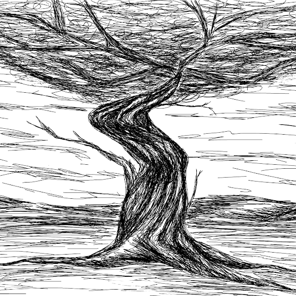 Sketchy Tree » drawings » SketchPort
