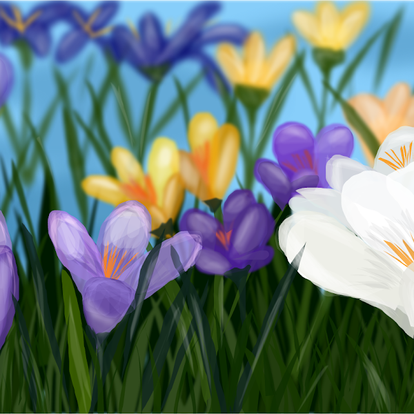 First Flower of Spring » drawings » SketchPort