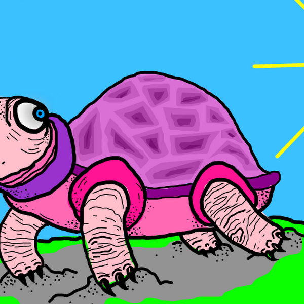 11. Give the Turtle a Shell » drawings » SketchPort