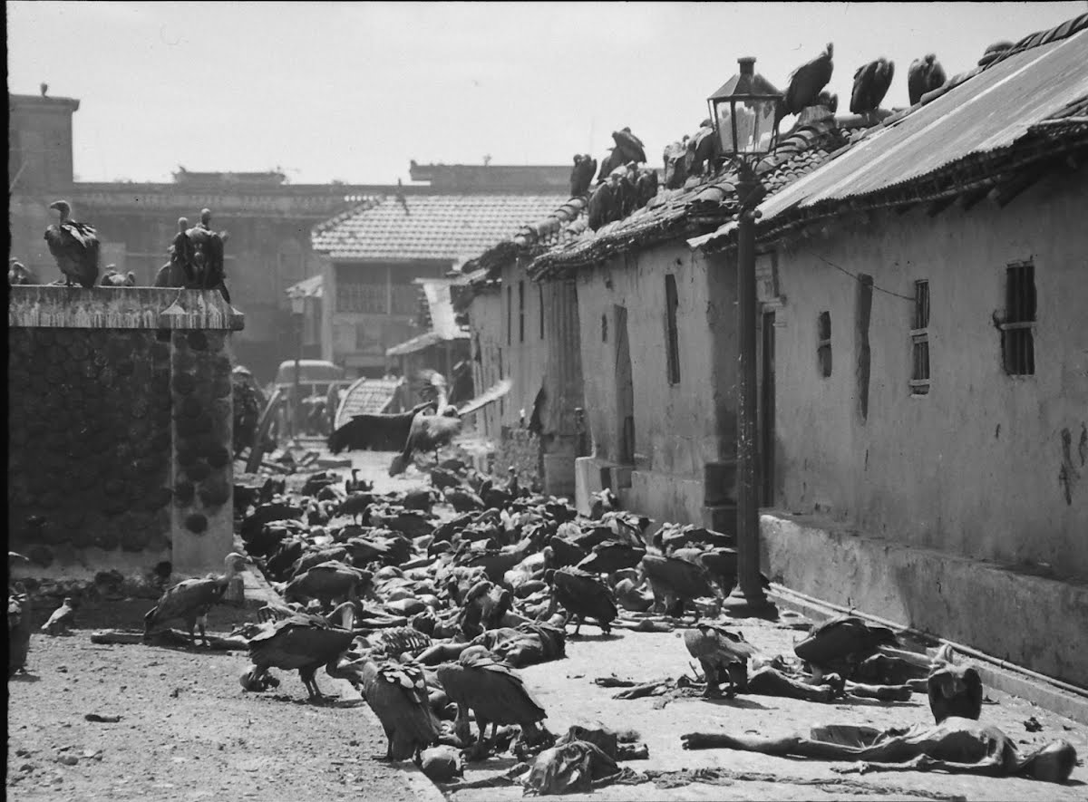 Aftermath Of Calcutta Riots - Margaret Bourke-White — Google Arts & Culture