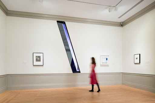 Sarah Oppenheimer — Google Arts & Culture