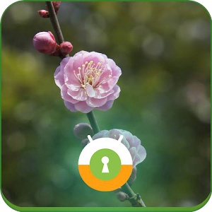 Flower Blossom Wall & Lock - Latest version 1.23 for Android App ...