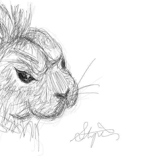 quick sketch -rabbit » drawings » SketchPort