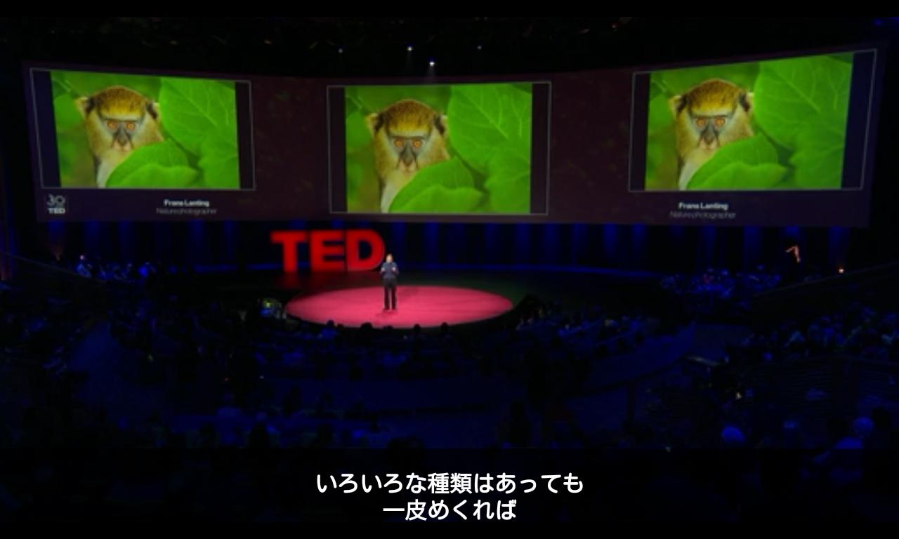TED - Google Play の Android アプリ