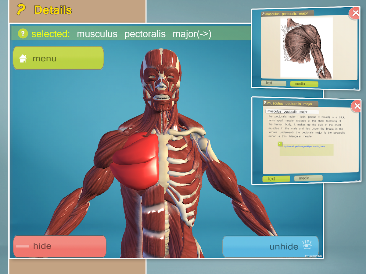 Easy Anatomy 3D learn Anatomy Android Apps On Google Play