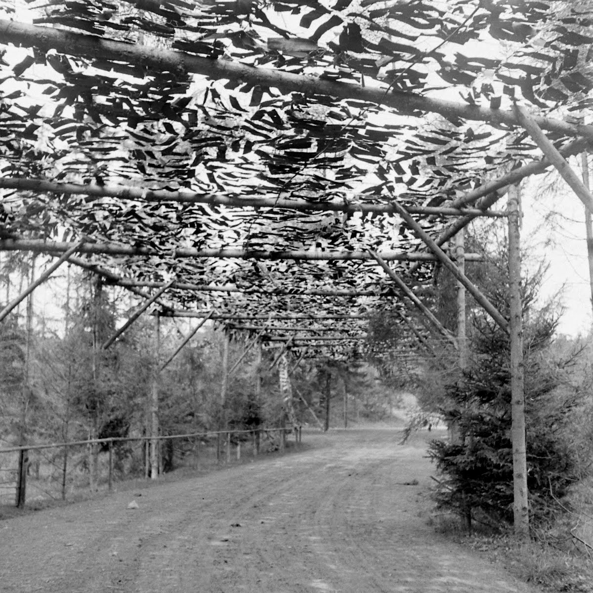 Hitler's Western Front - David E Scherman — Google Arts & Culture